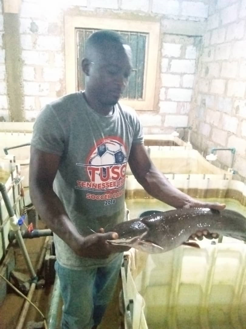 Portfolio responsive complete